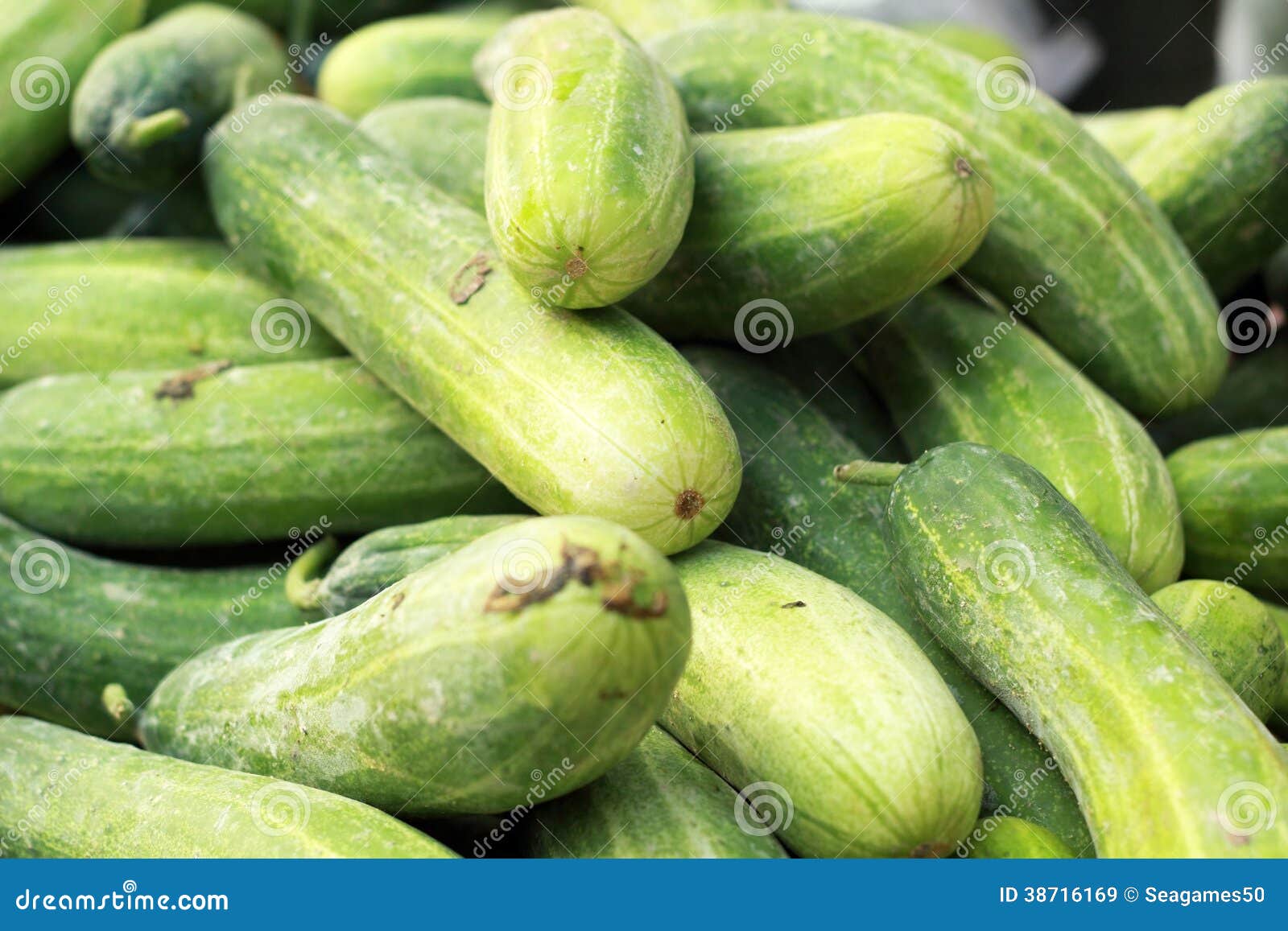 Fresh Cucumber in the Market Stock Image - Image of ripe, natural: 38716169