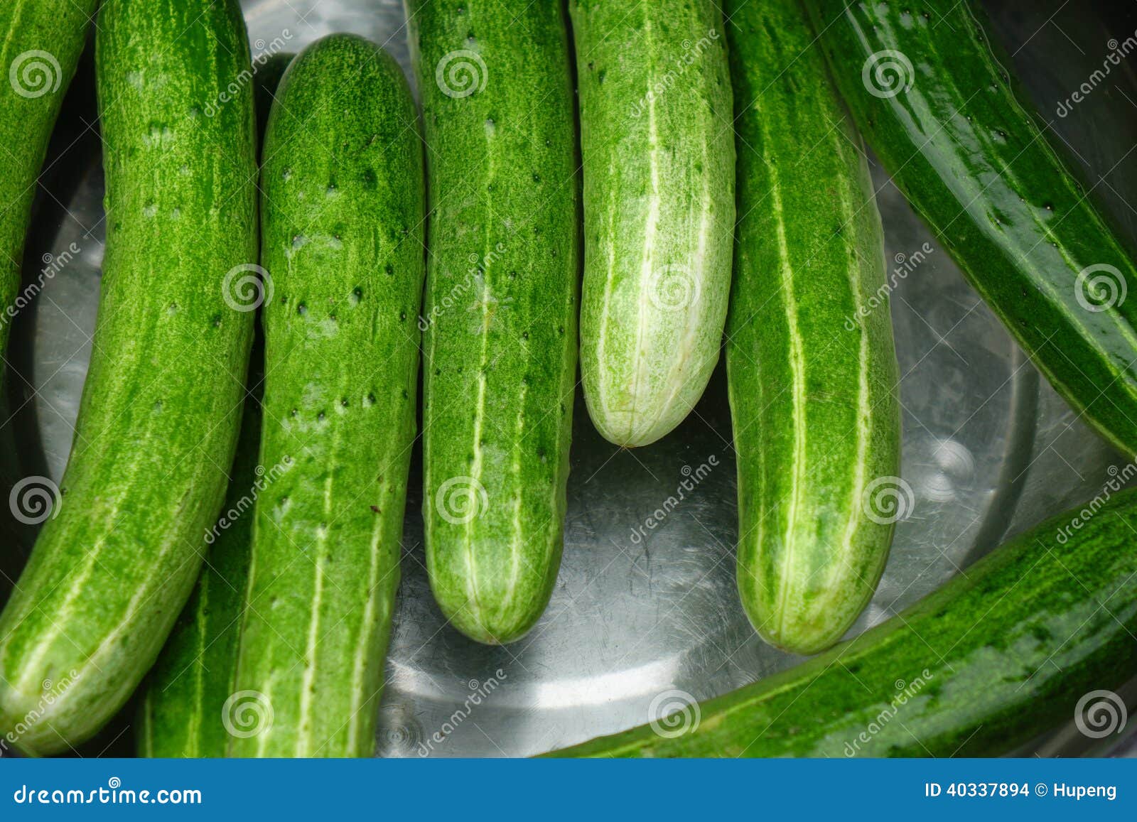 Fresh cucumber stock photo. Image of grow, crop, fields - 40337894