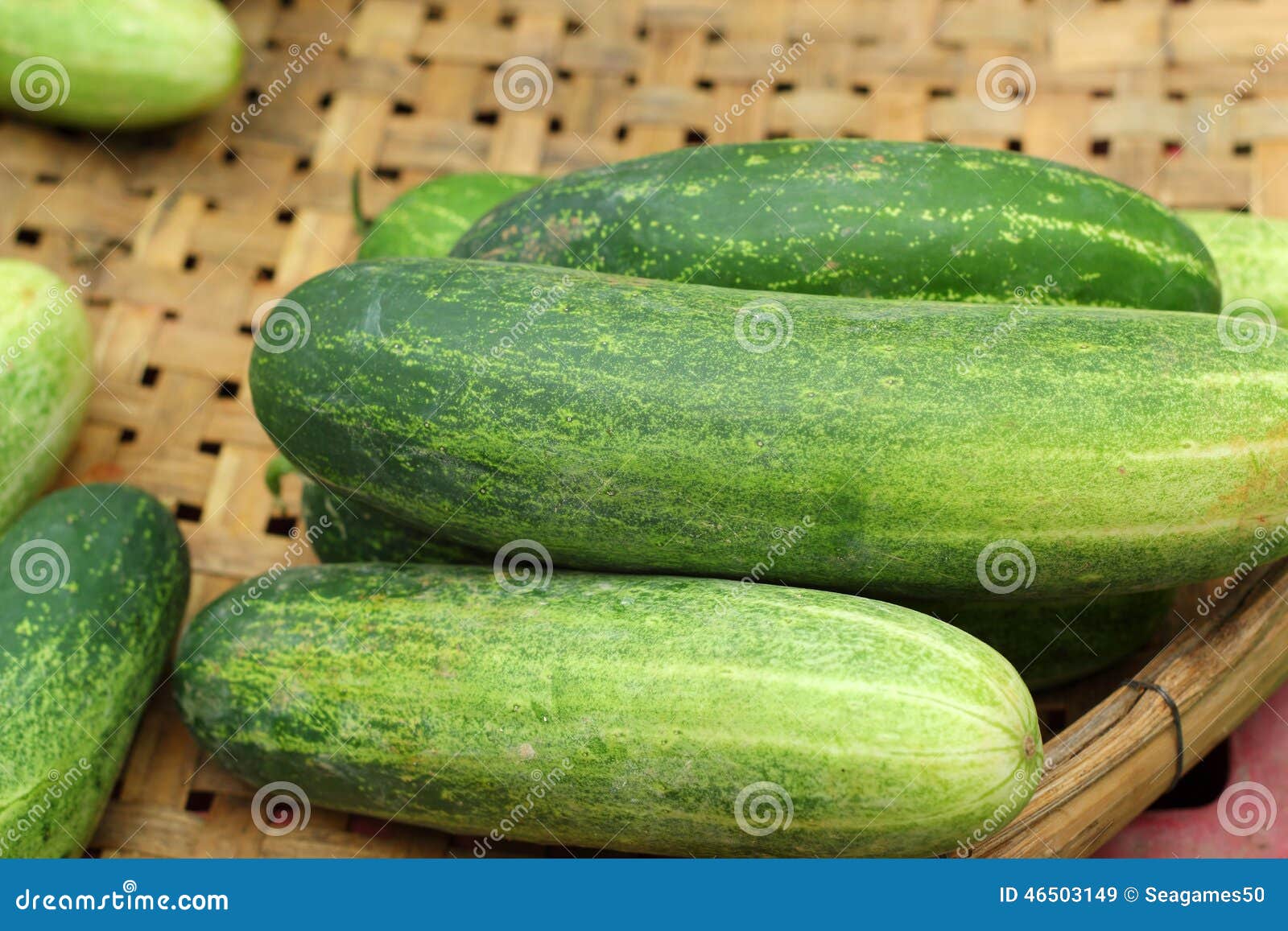Fresh Cucumber in the Market Stock Image - Image of organic, market ...