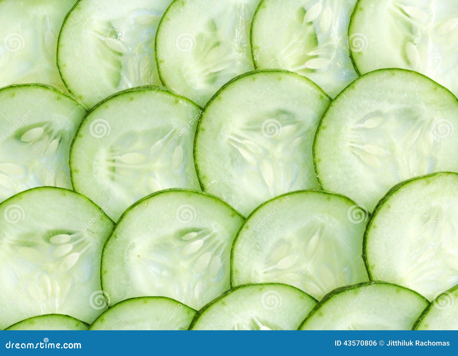 Fresh Cucumber and slices stock photo. Image of ingredient - 43570806