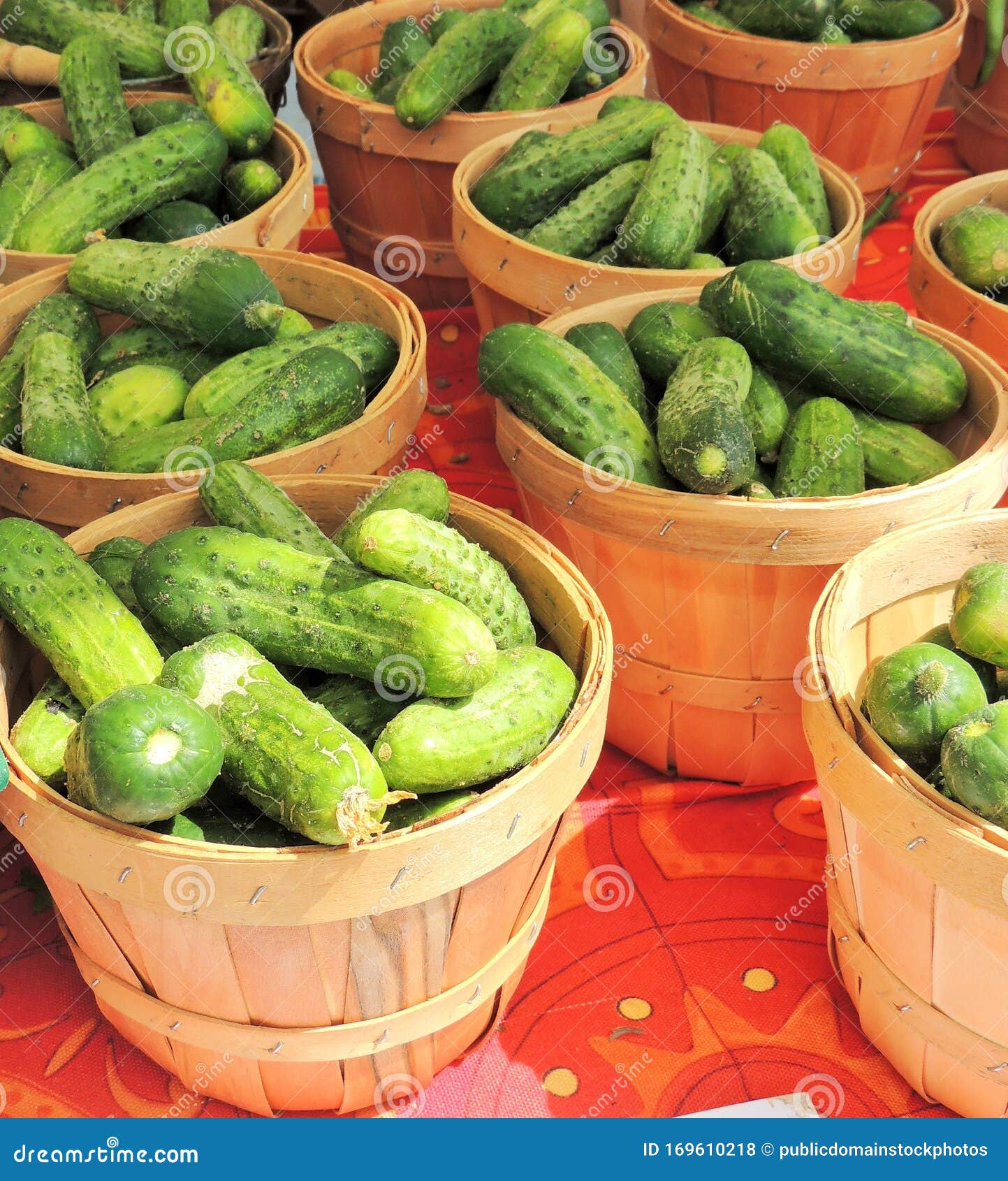 Fresh Cucumbers Picture. Image: 169610218