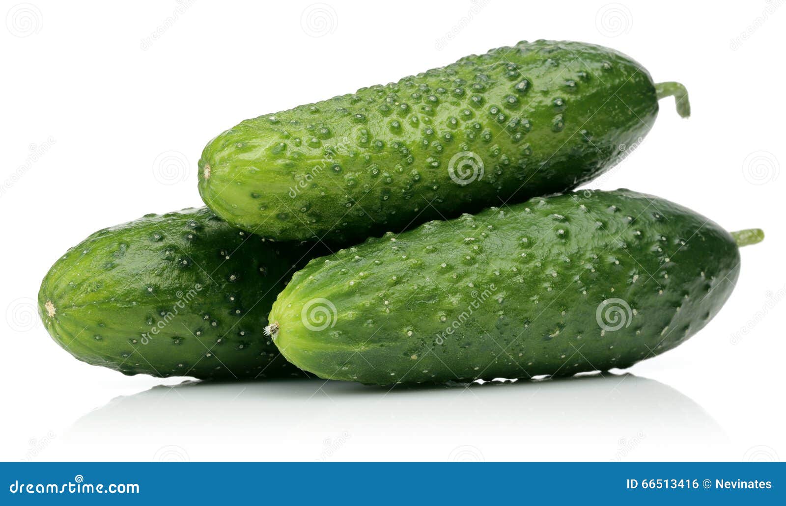 Spiky Cucumbers Stock Photos - Free & Royalty-Free Stock Photos from ...