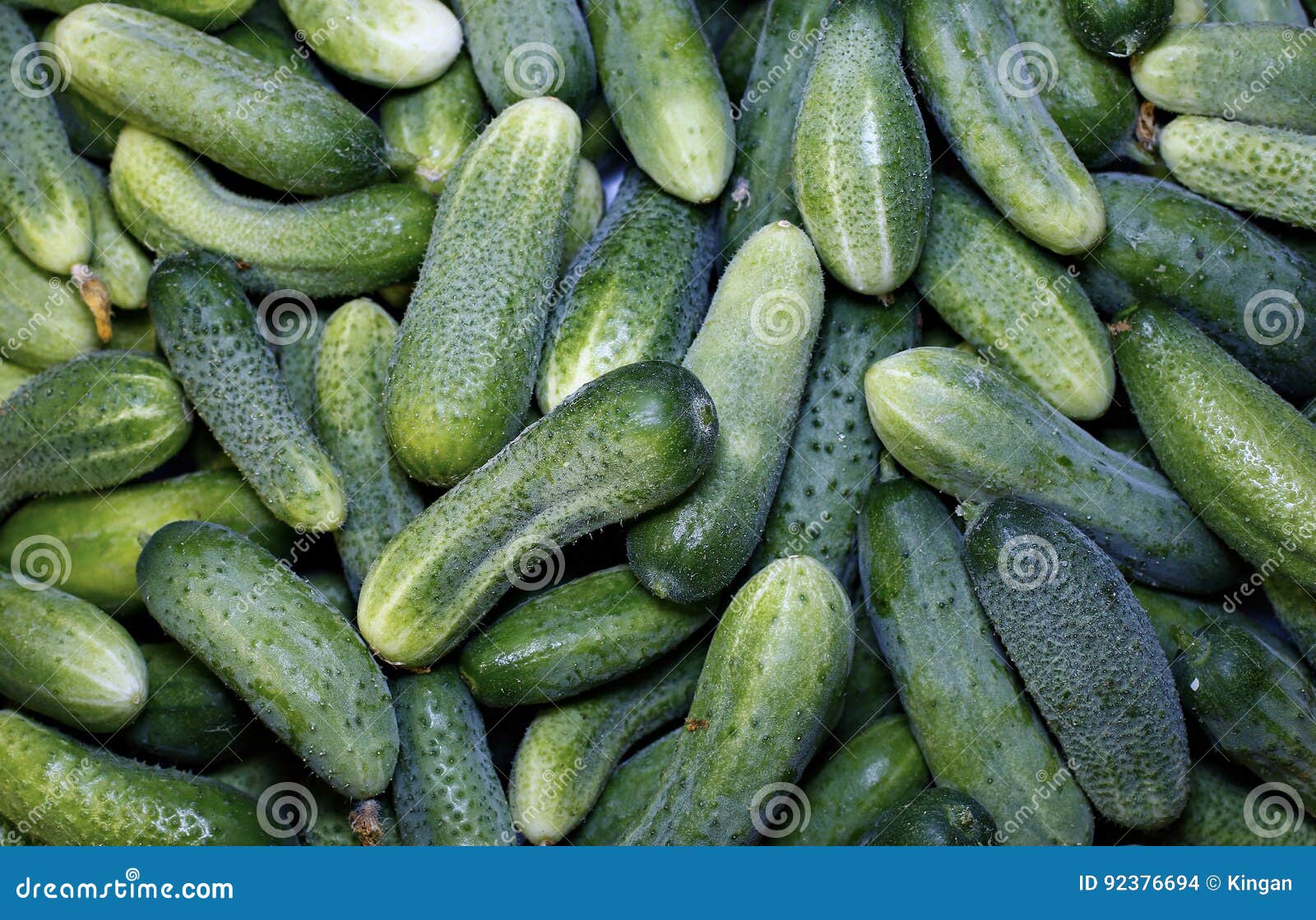Fresh cucumbers stock photo. Image of vegan, vegetables - 92376694