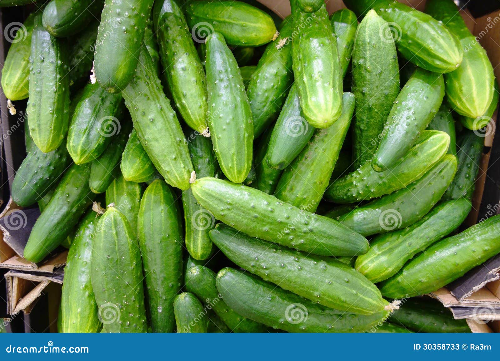 Fresh cucumbers in boxes stock image. Image of nature - 30358733