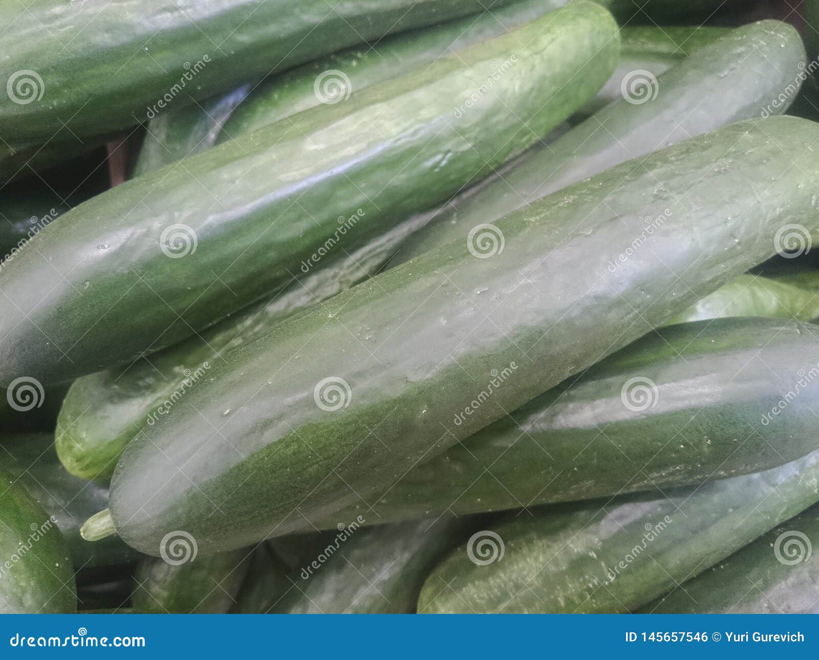 Fresh Cucumbers on the Counter of a Grocery Store Stock Photo - Image ...