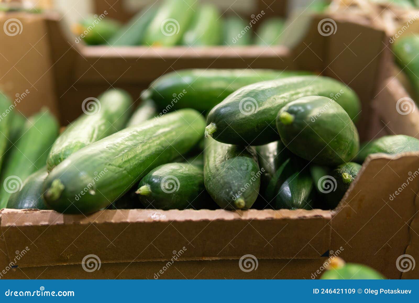 Fresh Cucumbers on the Counter in the Supermarket Stock Image - Image ...