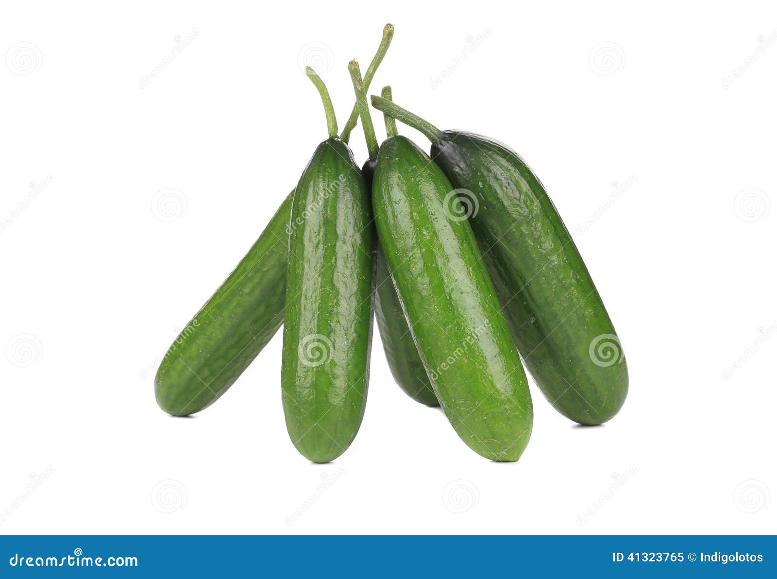 Fresh cucumbers. stock image. Image of plant, juicy, plus - 41323765