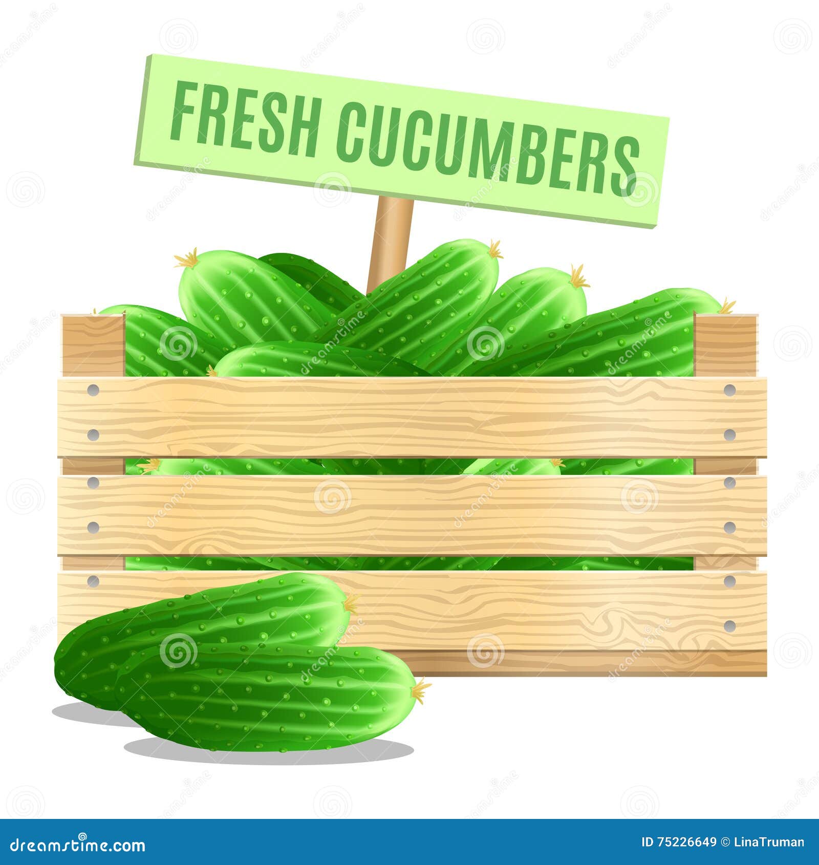 Cucumbers On A White Background. Vegetables Illustration, Clip Art ...