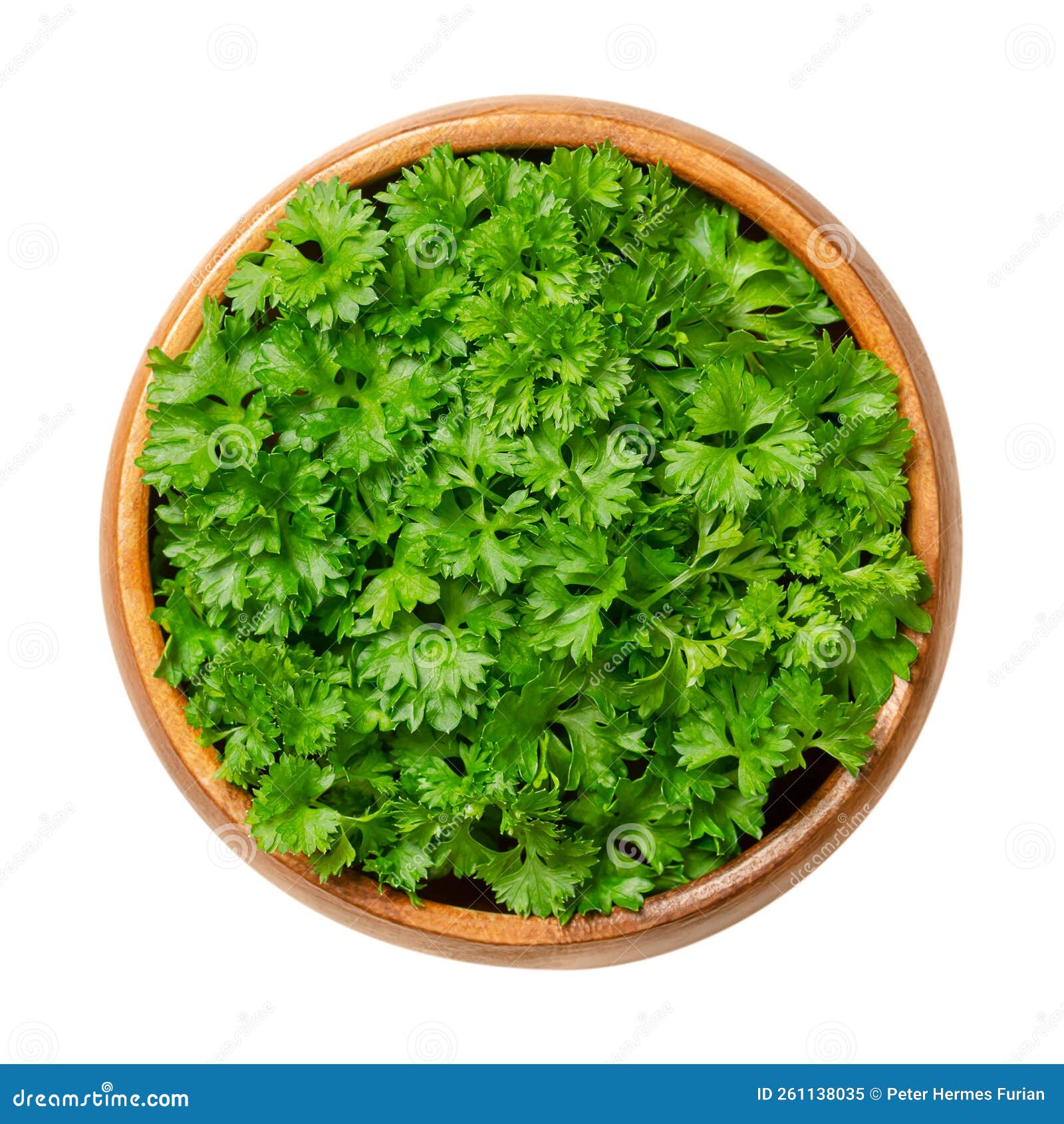 Fresh Curly Leaf Parsley, with Green Crinkled Leaves, in Wooden Bowl ...