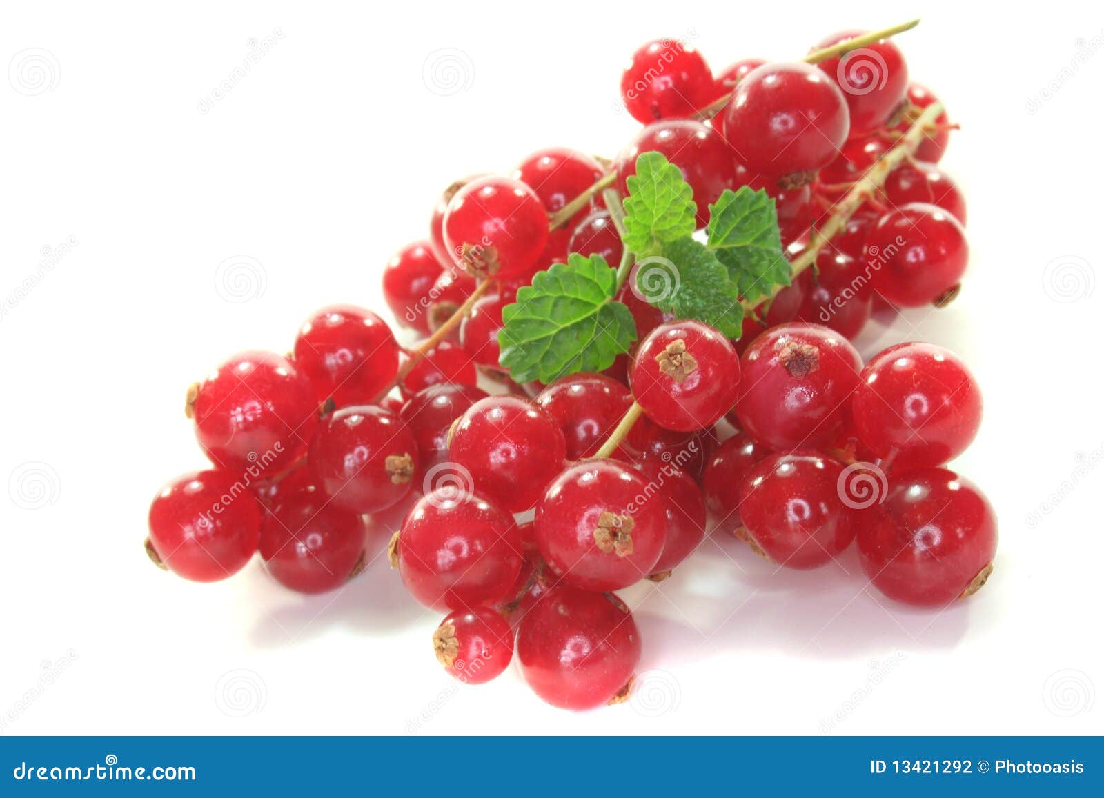 Fresh currant stock photo. Image of fruit, sour, garden - 13421292