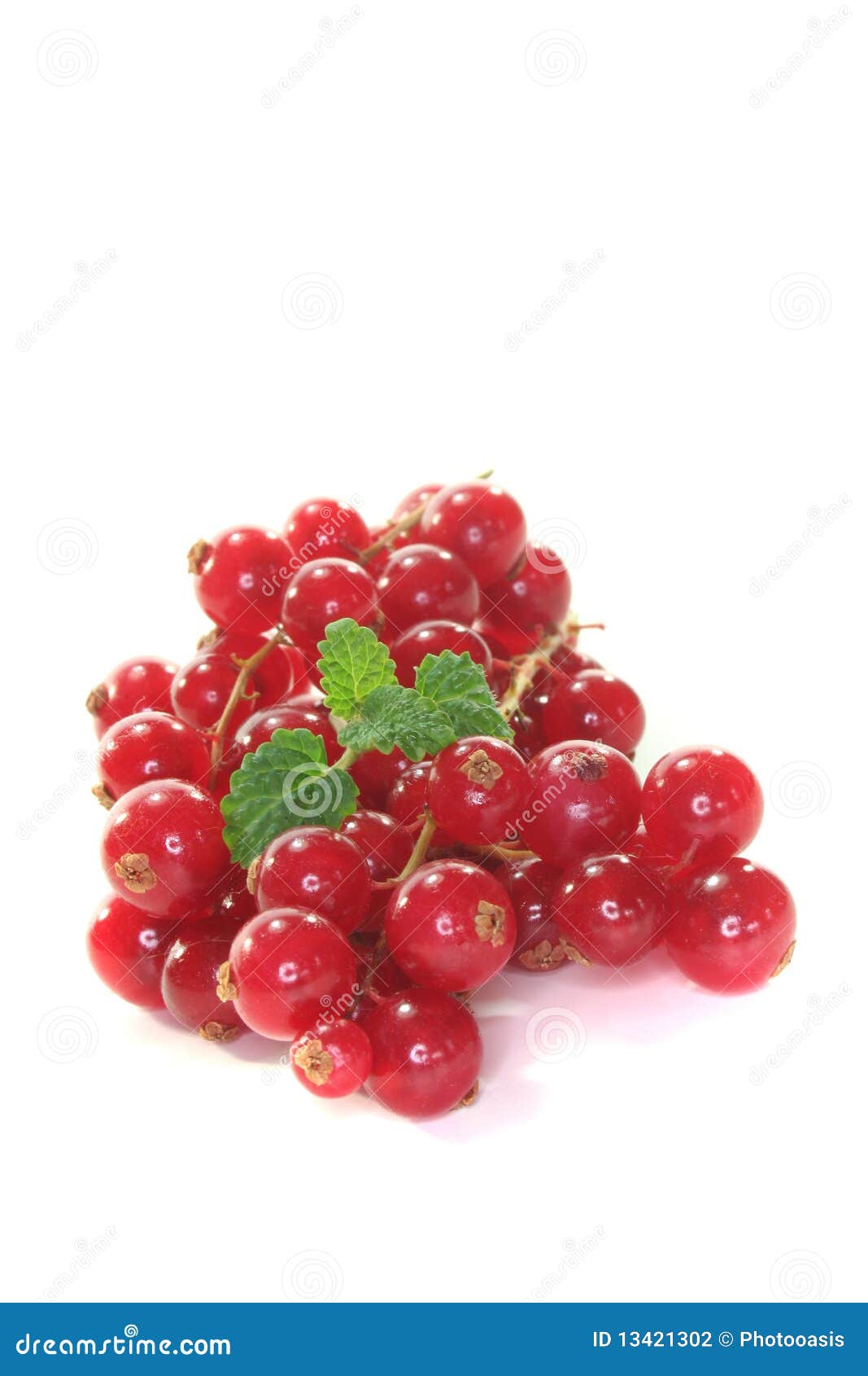 Fresh currant stock photo. Image of currant, leaf, food - 13421302