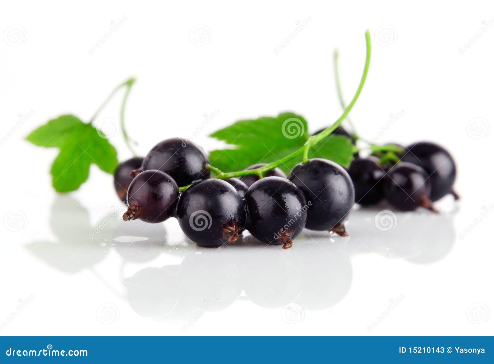 Fresh Currant Fruits with Green Leaves Stock Image - Image of ripe ...