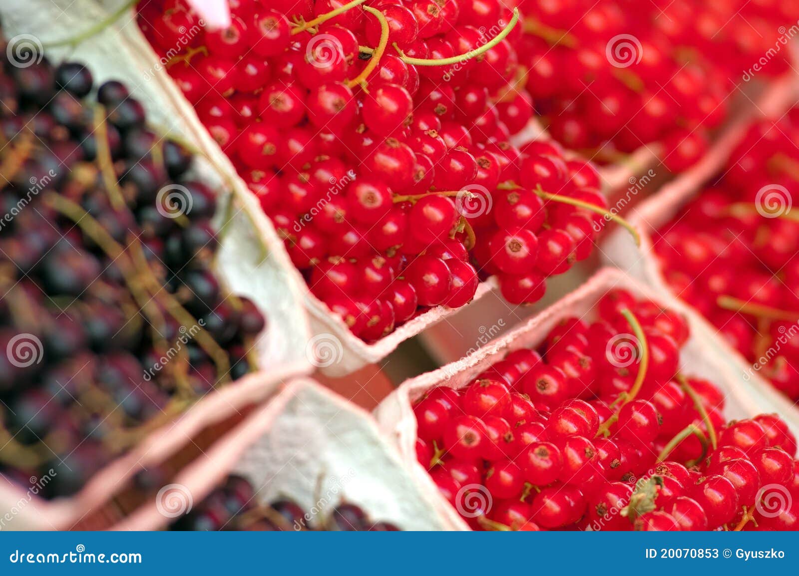 Fresh Currants stock image. Image of fresh, antioxidant - 20070853