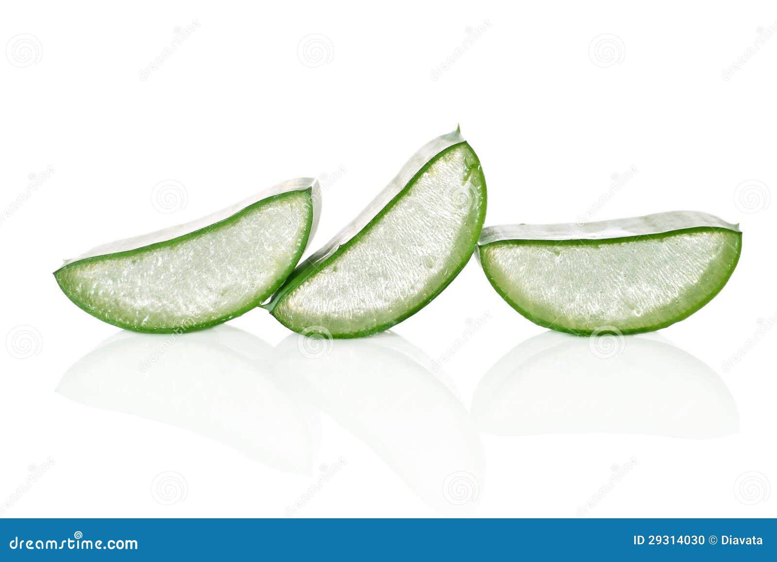 Fresh cut Aloe Vera slices stock photo. Image of plant - 29314030