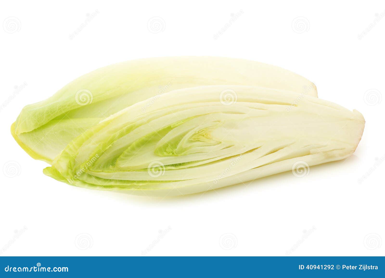 Fresh cut chicory stock photo. Image of healthy, nutrition - 40941292