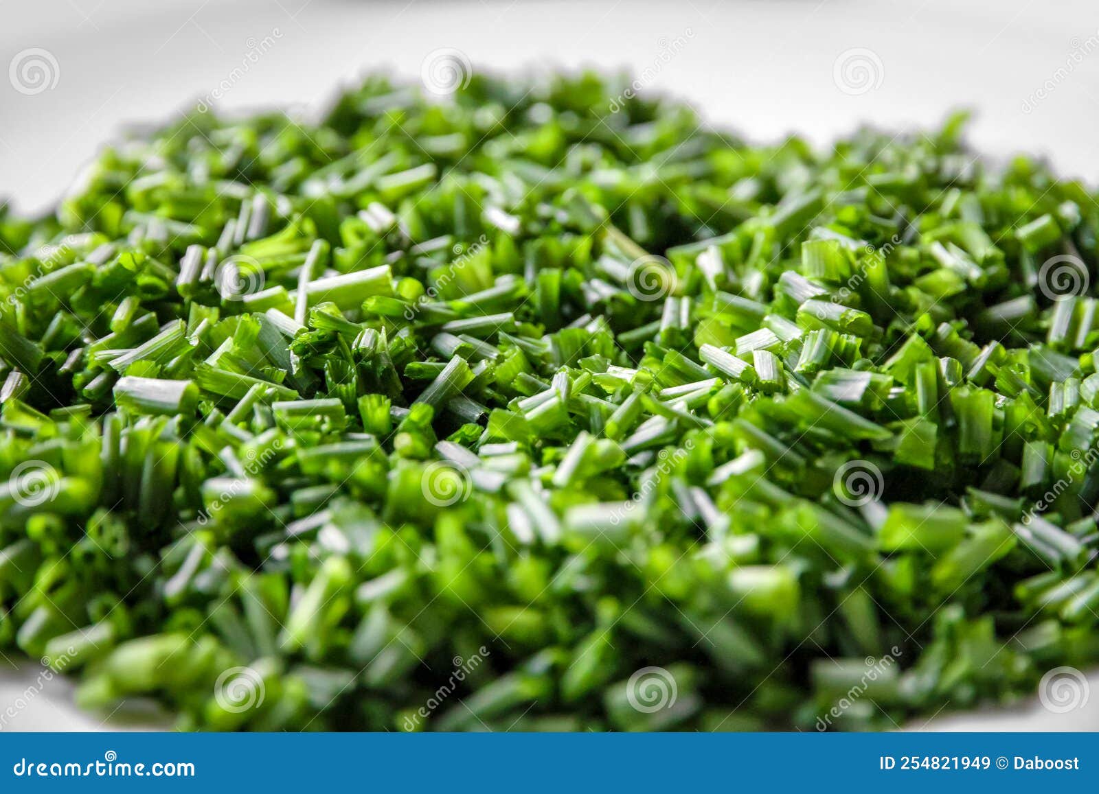Fresh Cut Chives Closeup View Stock Image - Image of chive, heap: 254821949