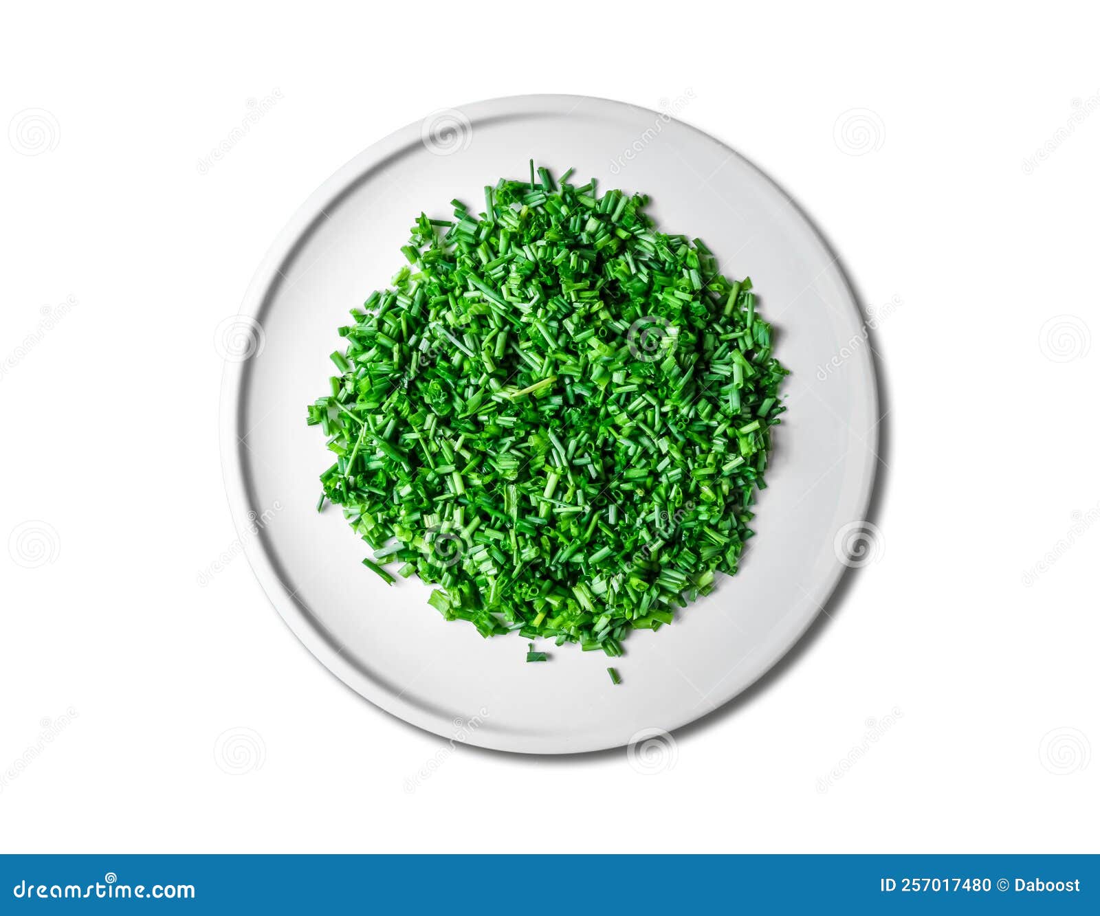 Fresh Cut Chives on a Plate Stock Photo - Image of herb, isolated ...