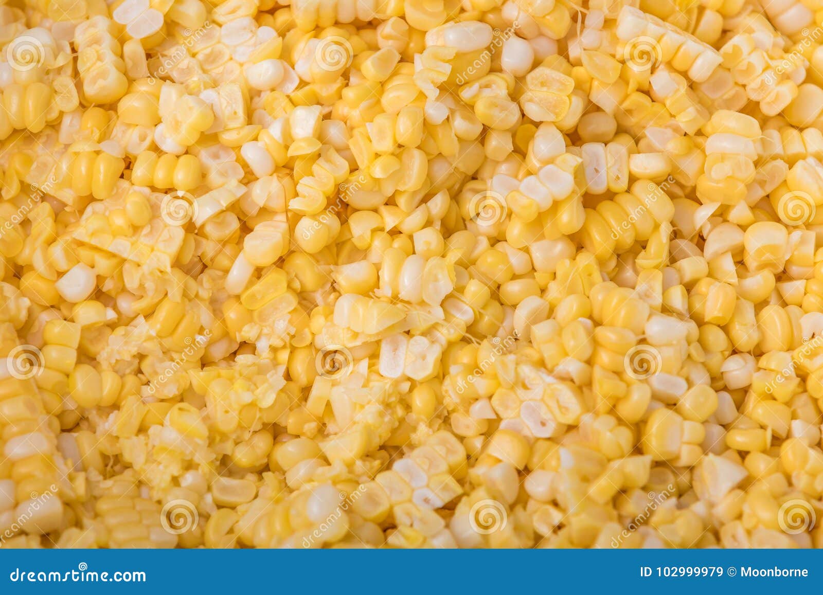 Fresh Cut Corn stock image. Image of close, grain, organic - 102999979