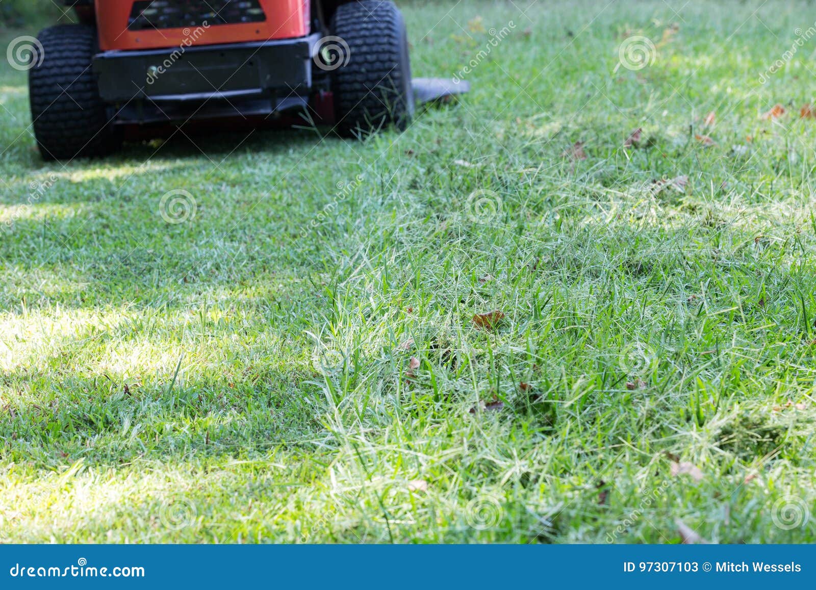 Fresh cut lawn and mower stock image. Image of mowing - 97307103