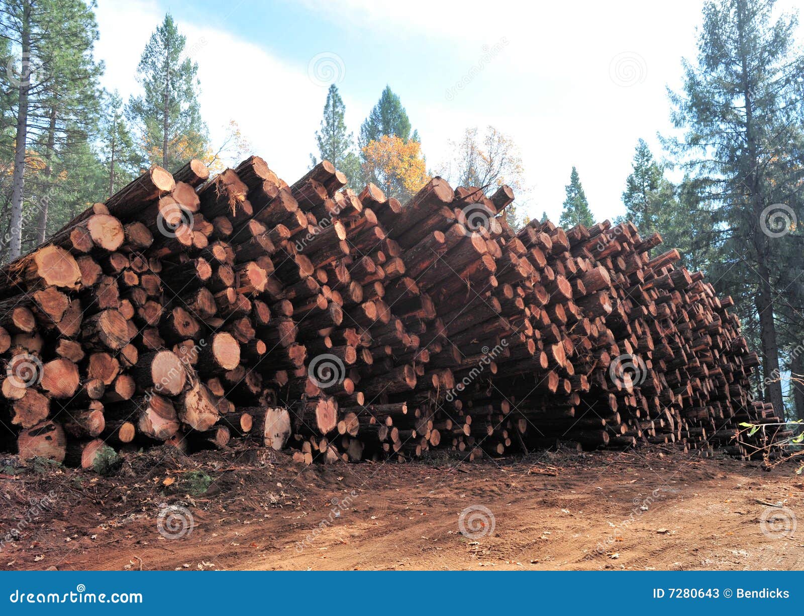 Fresh Cut Logs stock image. Image of splinters, outside - 7280643