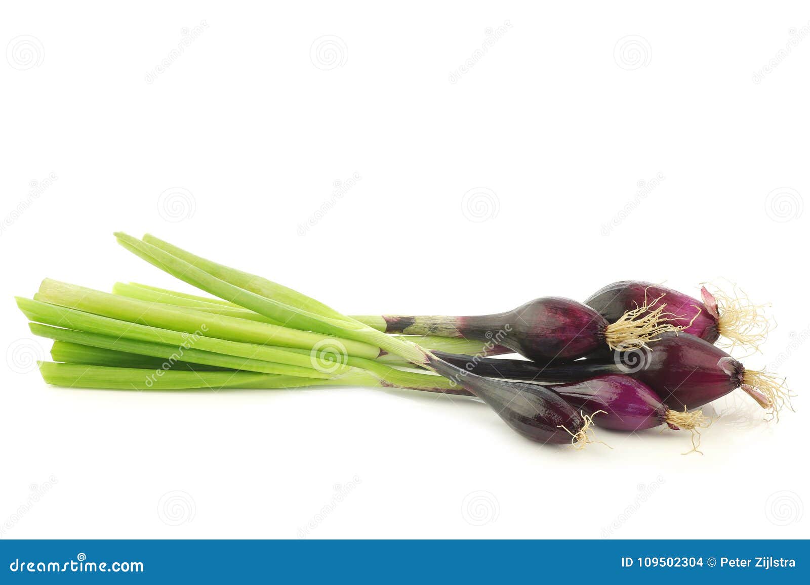 Fresh Cut Red Spring Onions Stock Photo - Image of bundle, condiment ...