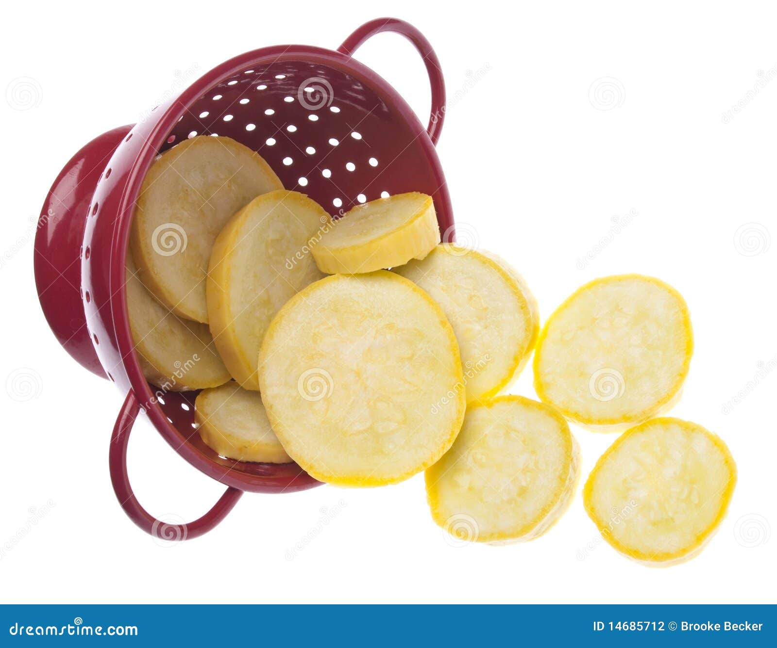 Fresh Cut Yellow Squash stock photo. Image of clipping - 14685712