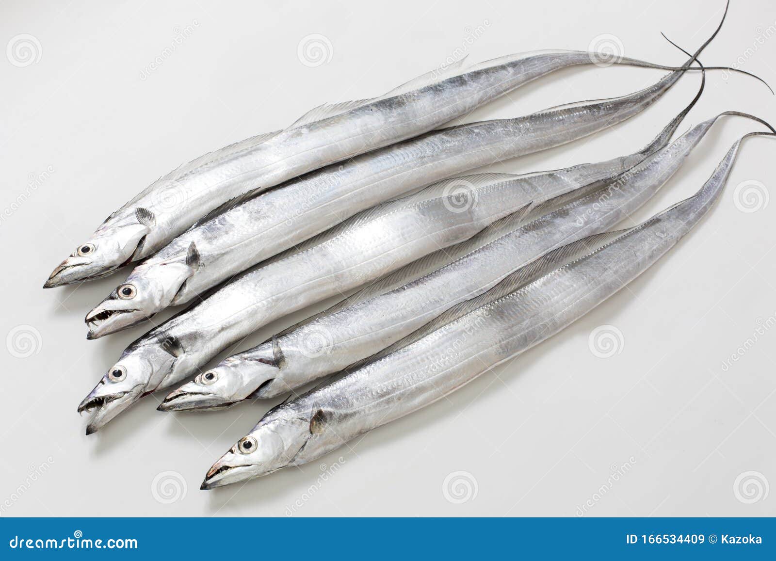 Fresh Cutlass fish stock image. Image of fresh, saltwater - 166534409