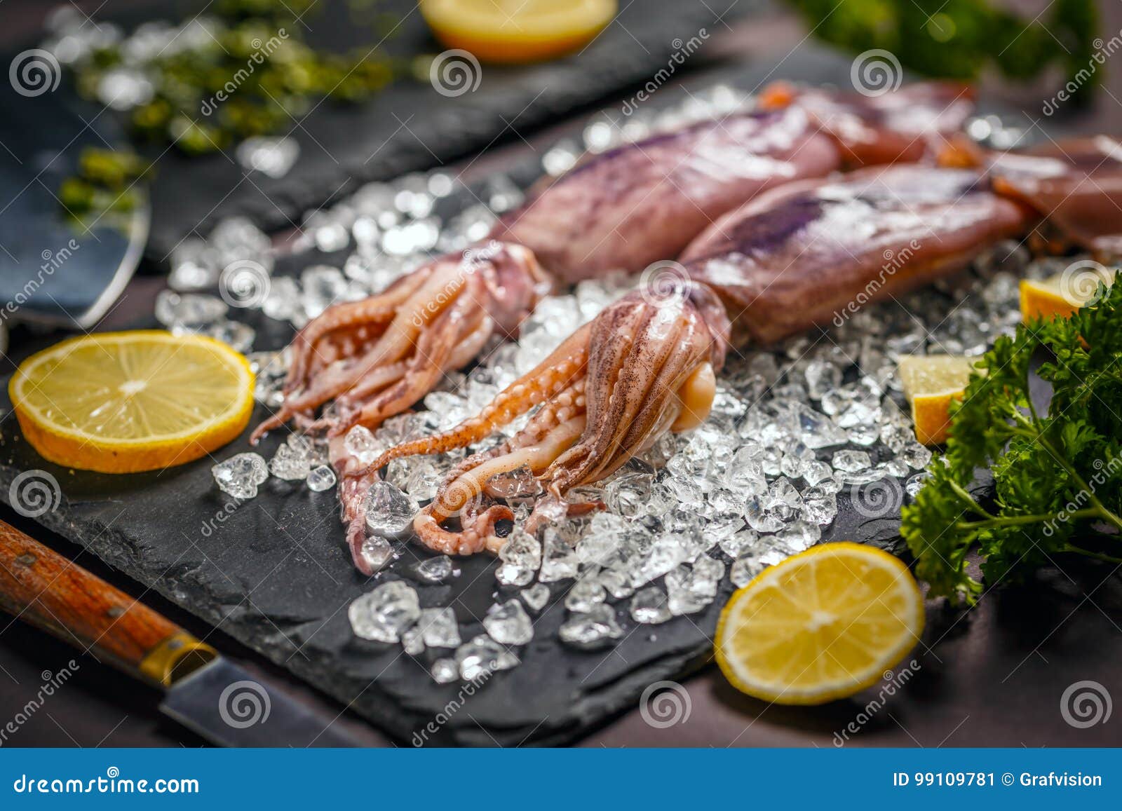 Fresh cuttlefish stock image. Image of lemon, slate, uncooked - 99109781