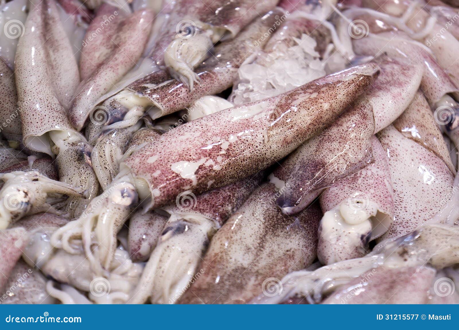 Fresh Cuttlefish in the Market Stock Image - Image of ingredient ...
