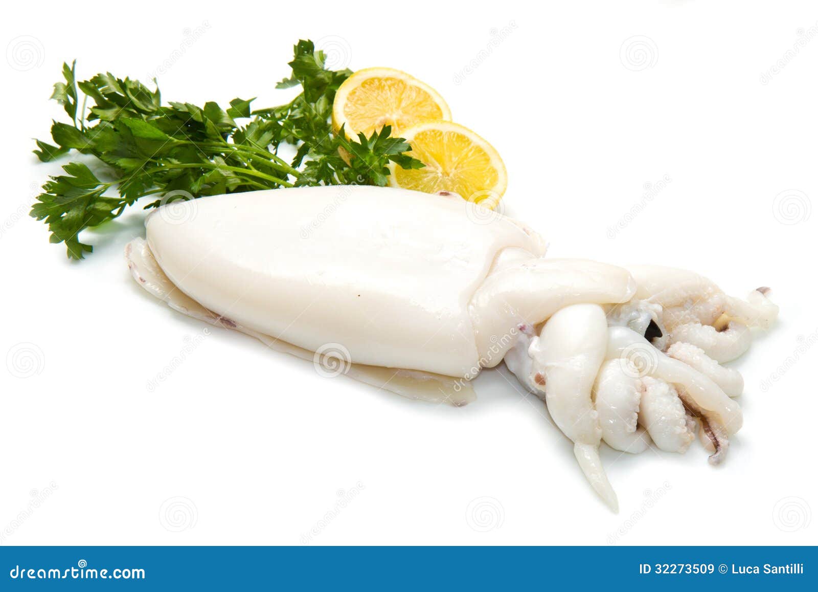 Fresh cuttlefish stock image. Image of lunch, thailand - 32273509