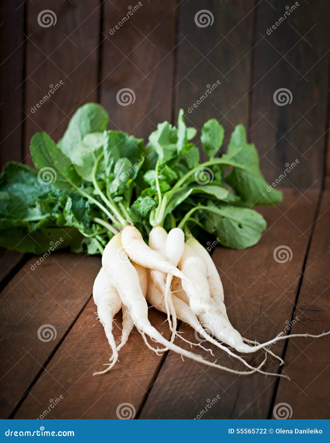 Fresh daikon radish stock photo. Image of japanese, group - 55565722