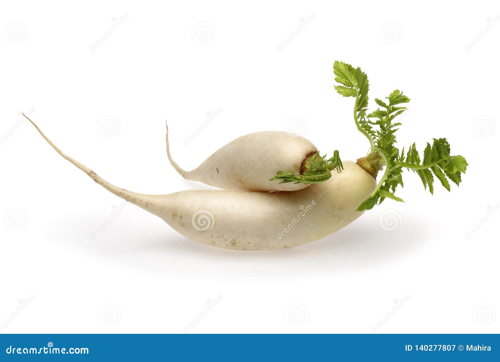 Fresh Daikon White Radish with Leaves Isolated Stock Image - Image of ...