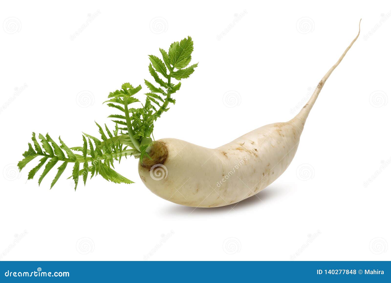 Fresh Daikon White Radish with Leaves Isolated Stock Photo - Image of ...