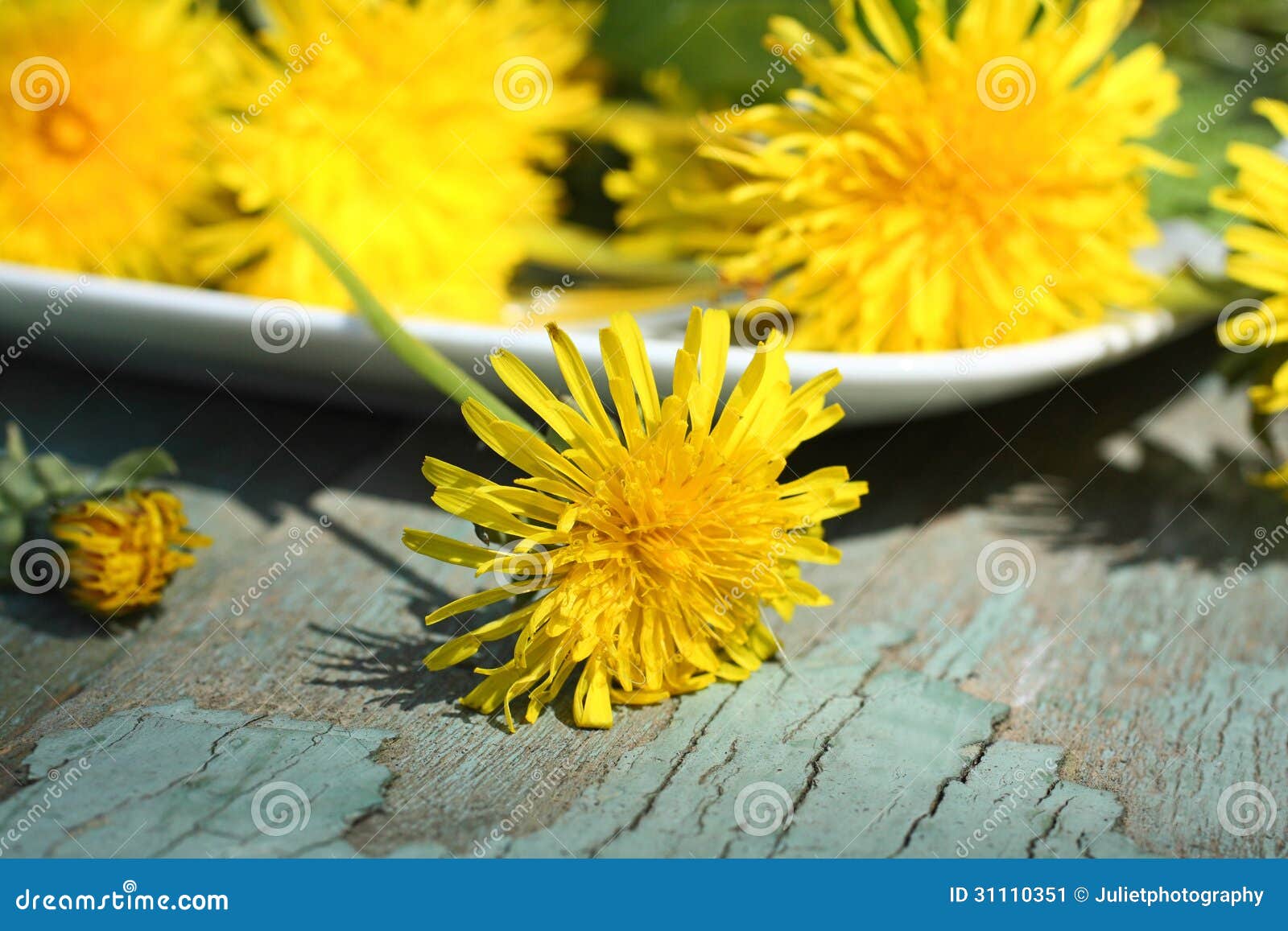 Fresh dandelion flowers stock image. Image of kitchen - 31110351