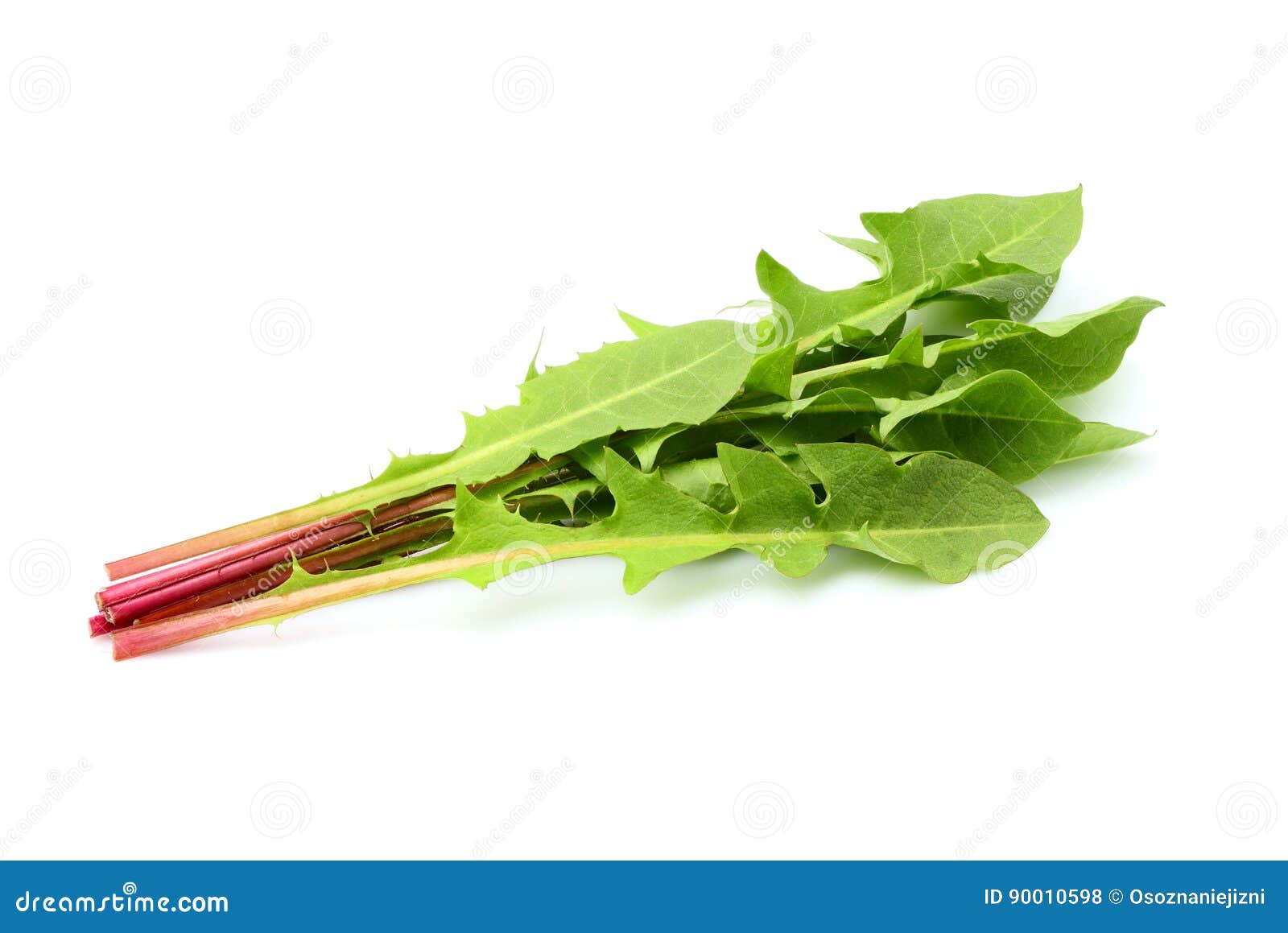 Fresh Dandelion Leaves Isolated. Stock Photo - Image of herb, vegan ...