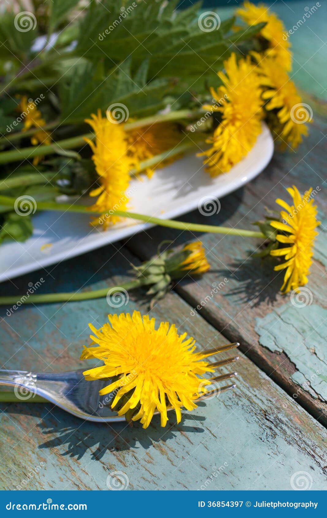 Fresh dandelions stock image. Image of nature, sunny - 36854397