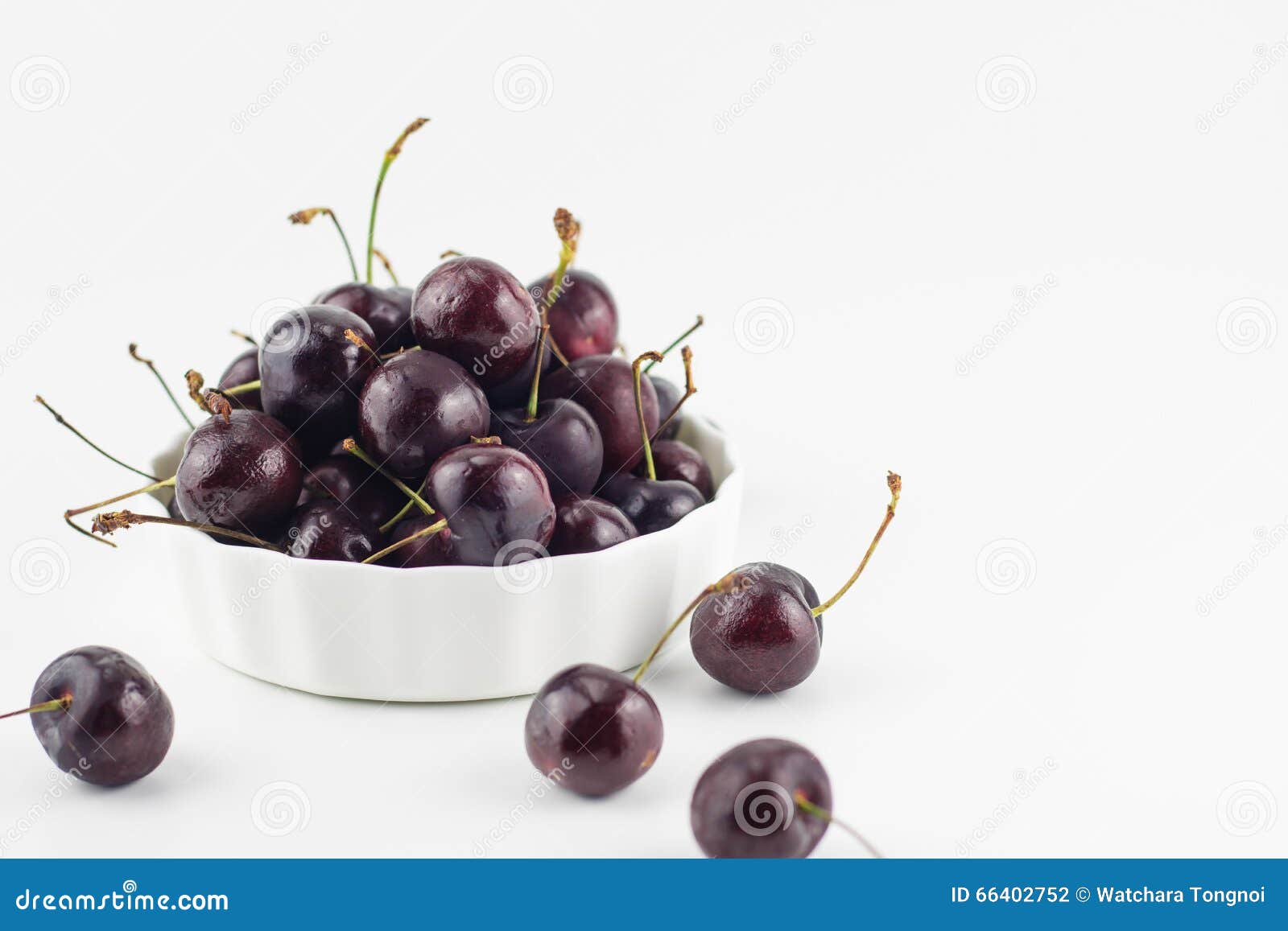 Fresh Dark Purple Cherry Isolated Background Stock Photo - Image of ...