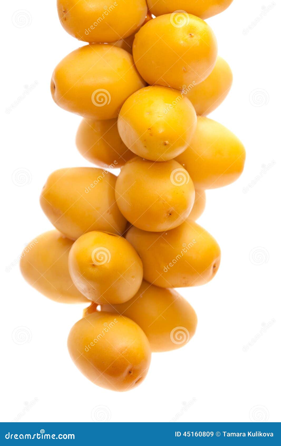 Fresh Date Fruit Isolated on White Stock Image - Image of branch, palm ...