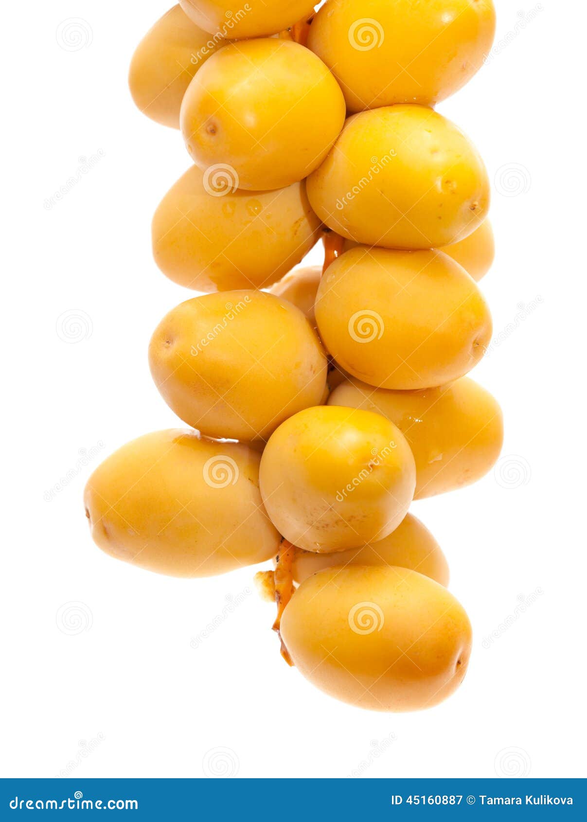 Fresh Date Fruit Isolated on White Stock Image - Image of source, food ...