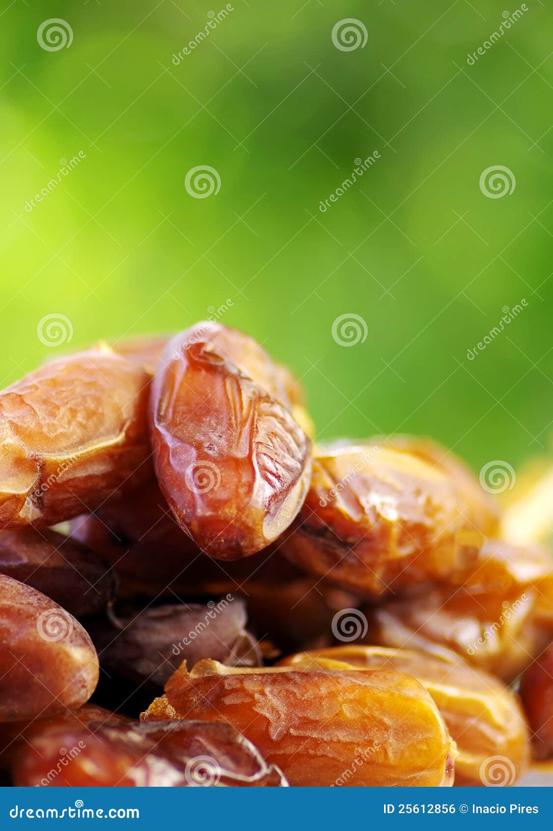 Fresh dates stock photo. Image of brown, date, exotic - 25612856