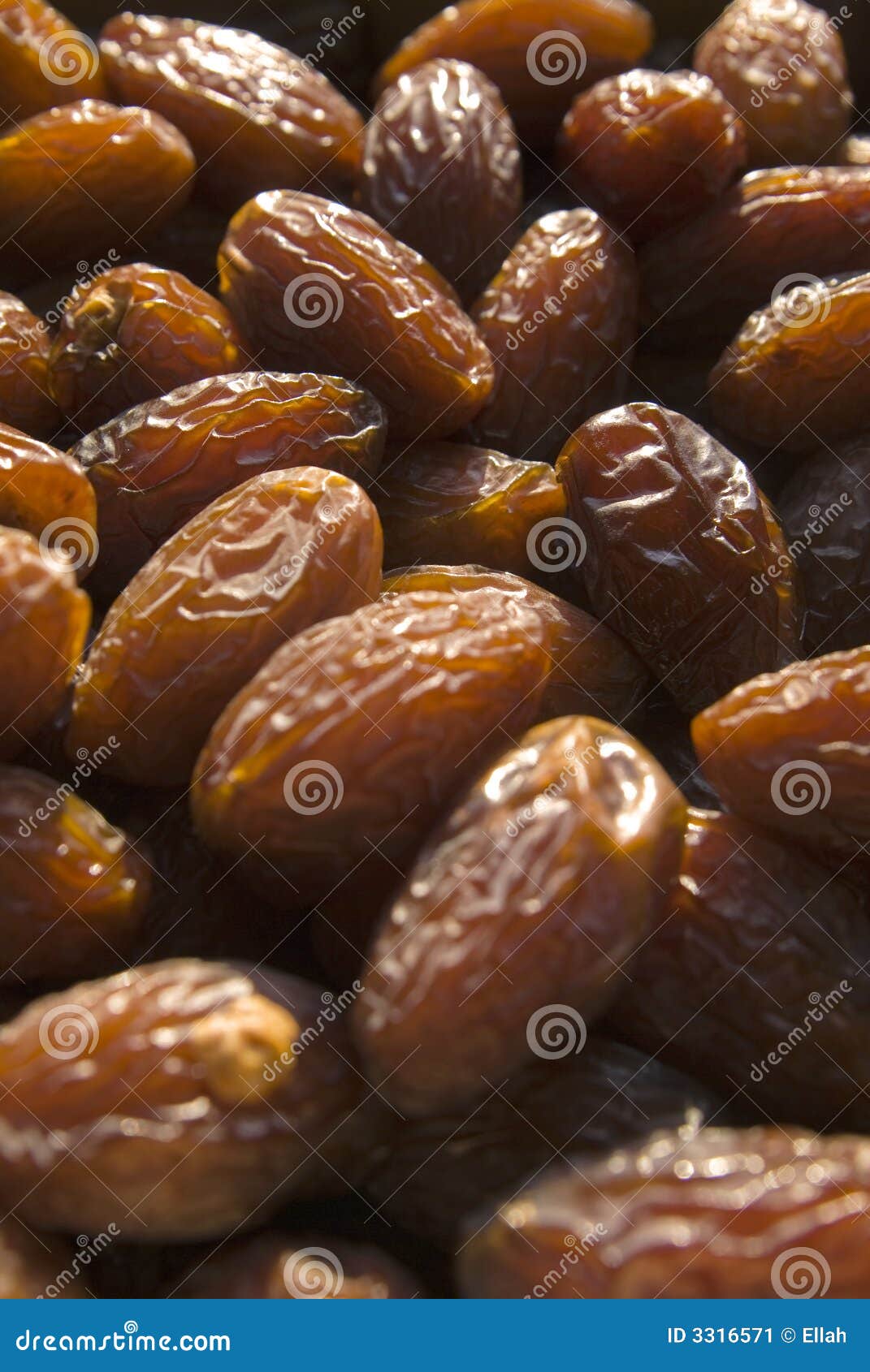 Fresh dates stock image. Image of fruit, palm, delicious - 3316571
