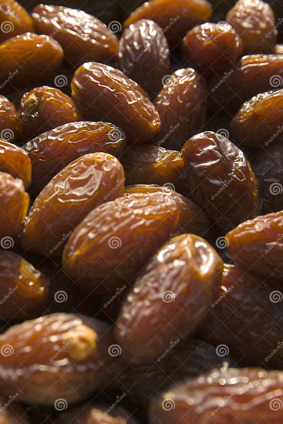 Fresh dates stock image. Image of fruit, palm, delicious - 3316571