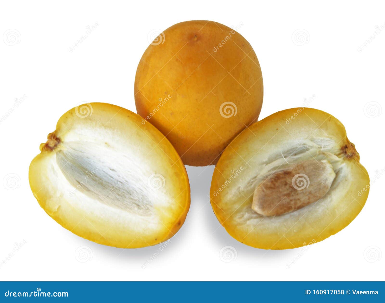 Big Dates Isolated. Date Palm Fruits Royalty-Free Stock Photography ...