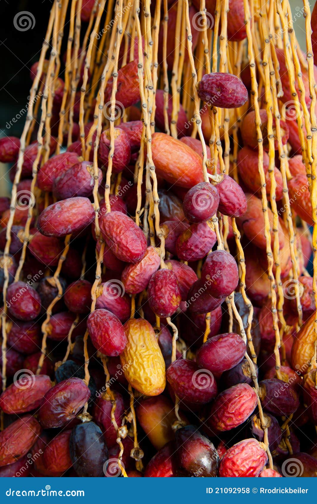 Fresh Dates at Jericho Market Stock Photo - Image of yellow ...