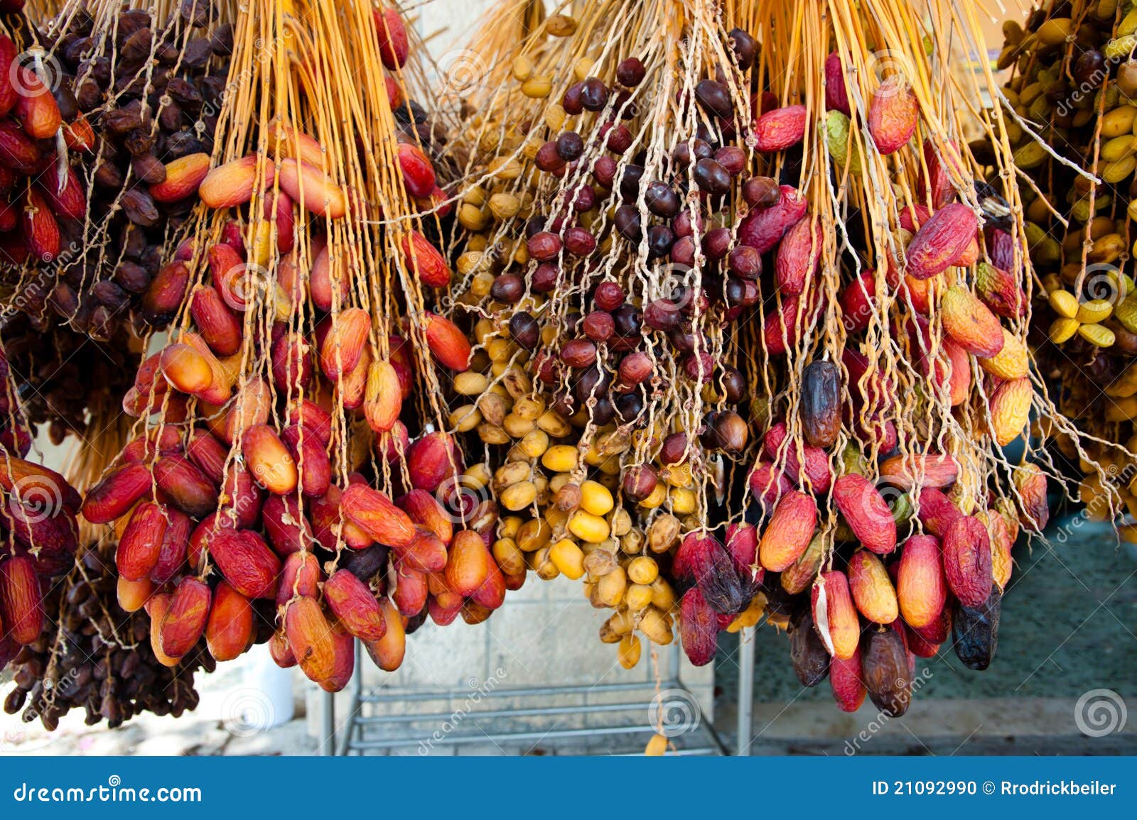 Fresh Dates at Jericho Market Stock Photo - Image of palestine, food ...