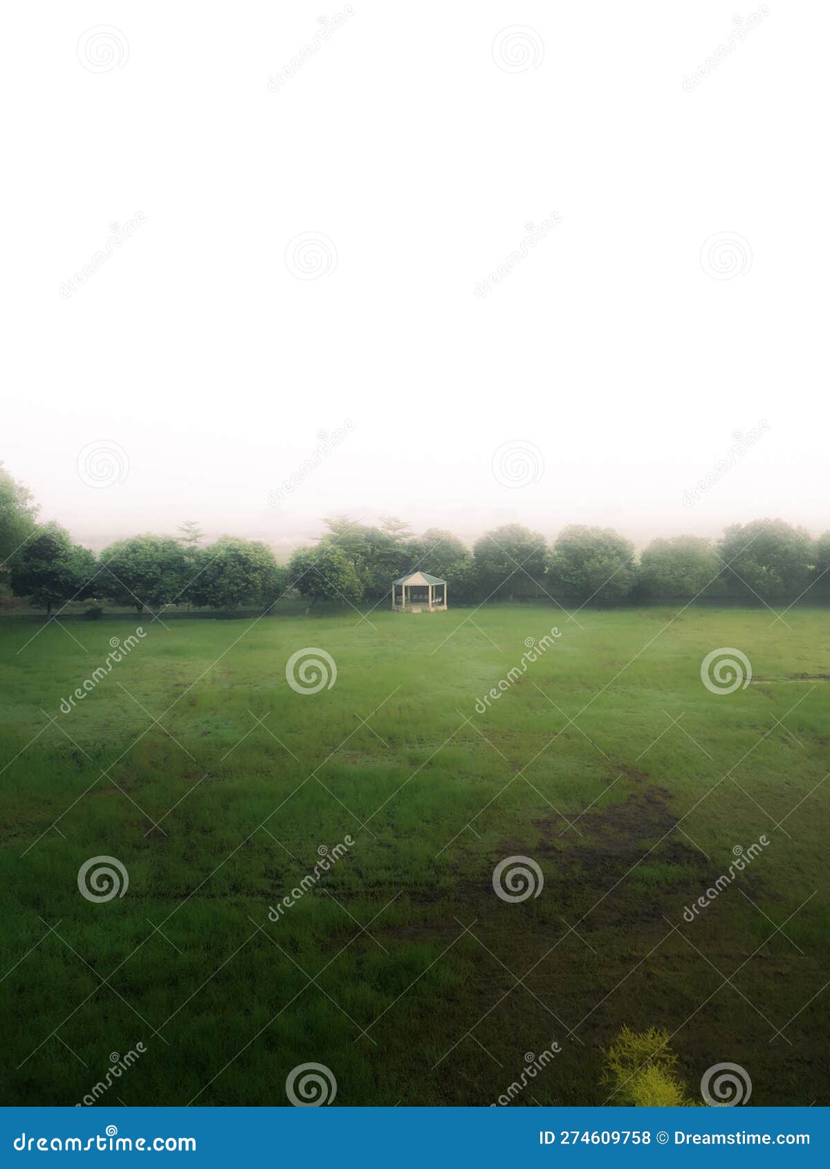 A Fresh Dawn in Sialkot Pakistan Stock Photo - Image of pasture, field ...