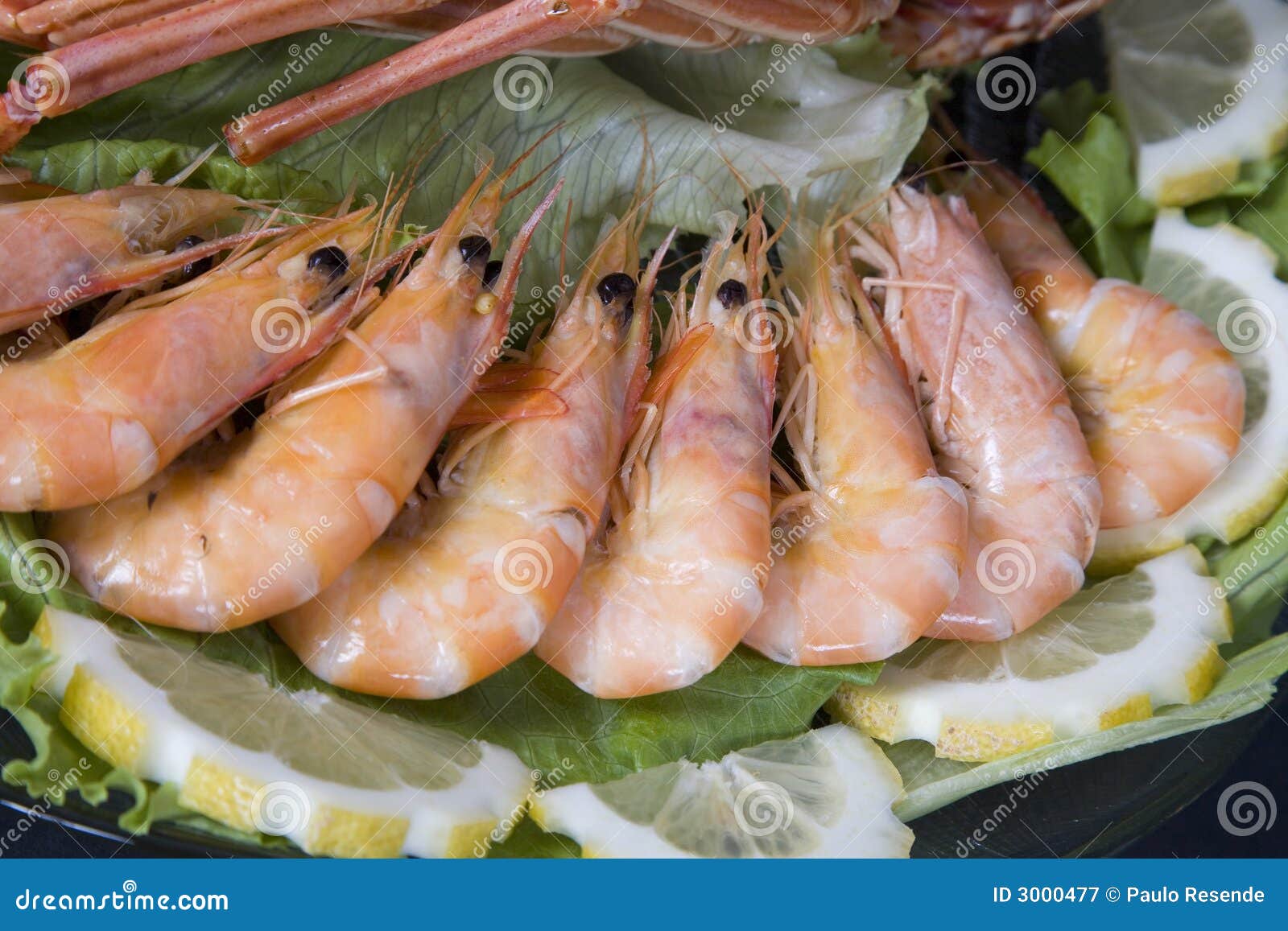 Fresh and Delicious Seafood - Stock Image - Image of tail, marine: 3000477