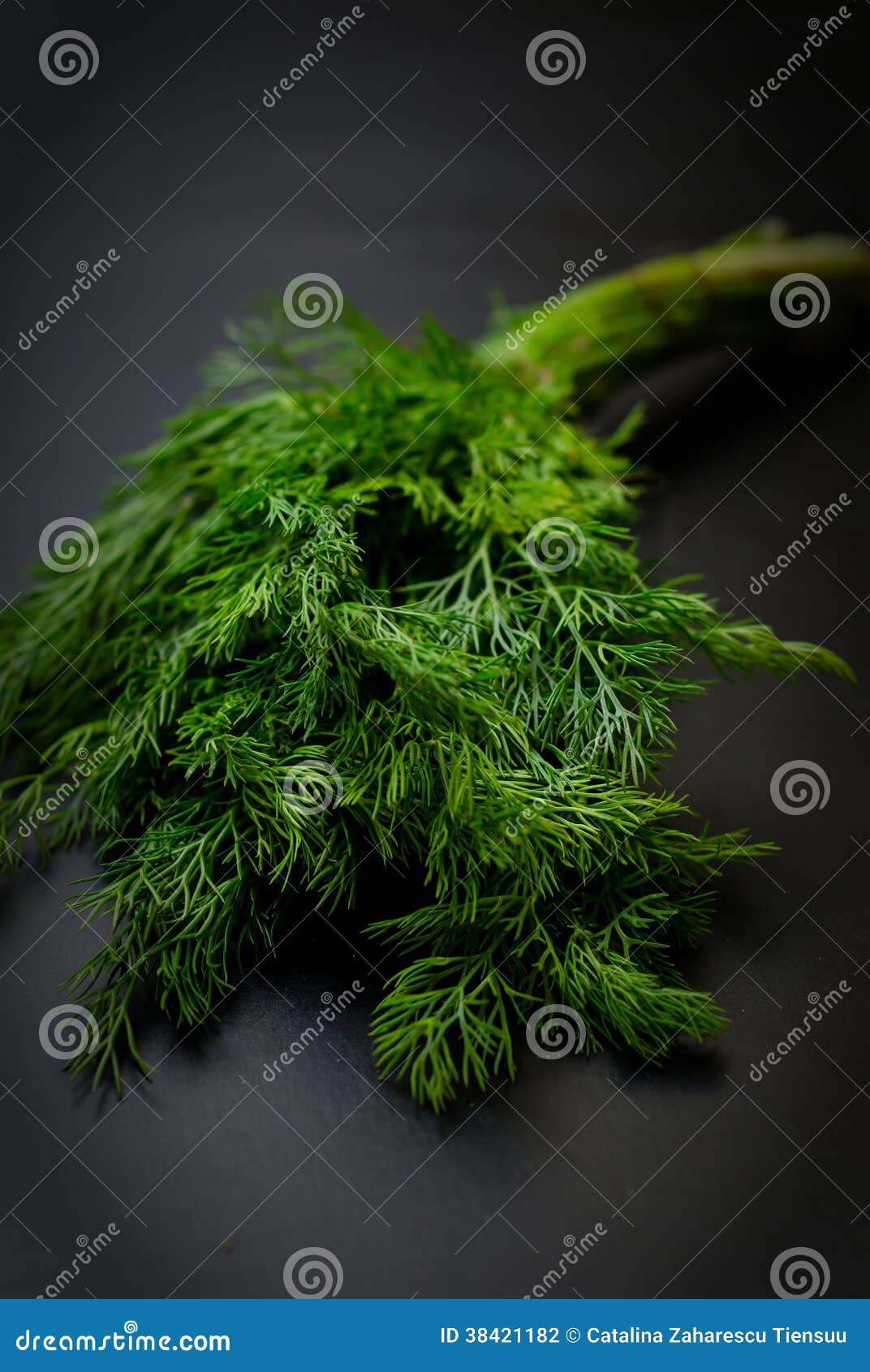 Fresh dill stock photo. Image of vegetable, vegan, leaves - 38421182