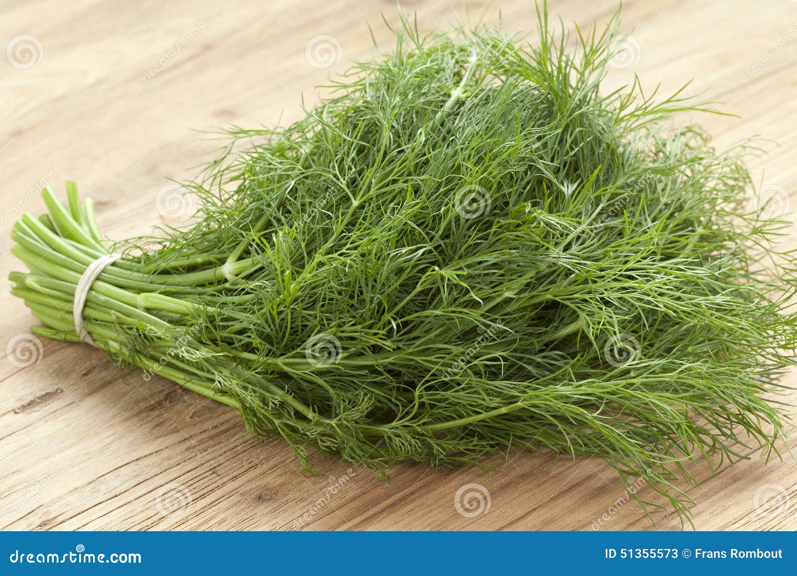 Fresh dill stock image. Image of graveolens, weed, herb - 51355573