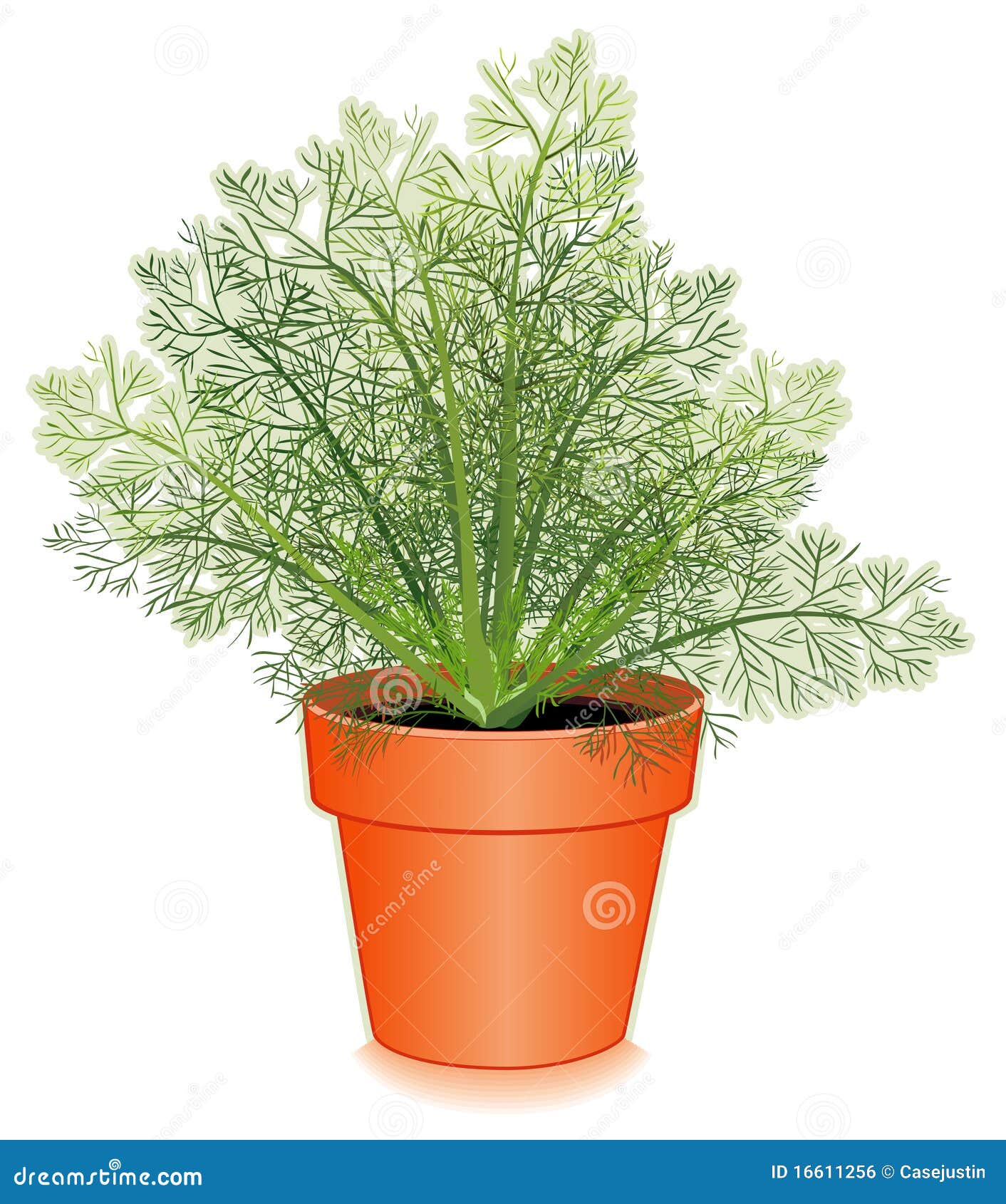 Dill Herb Cartoon Vector | CartoonDealer.com #8263665